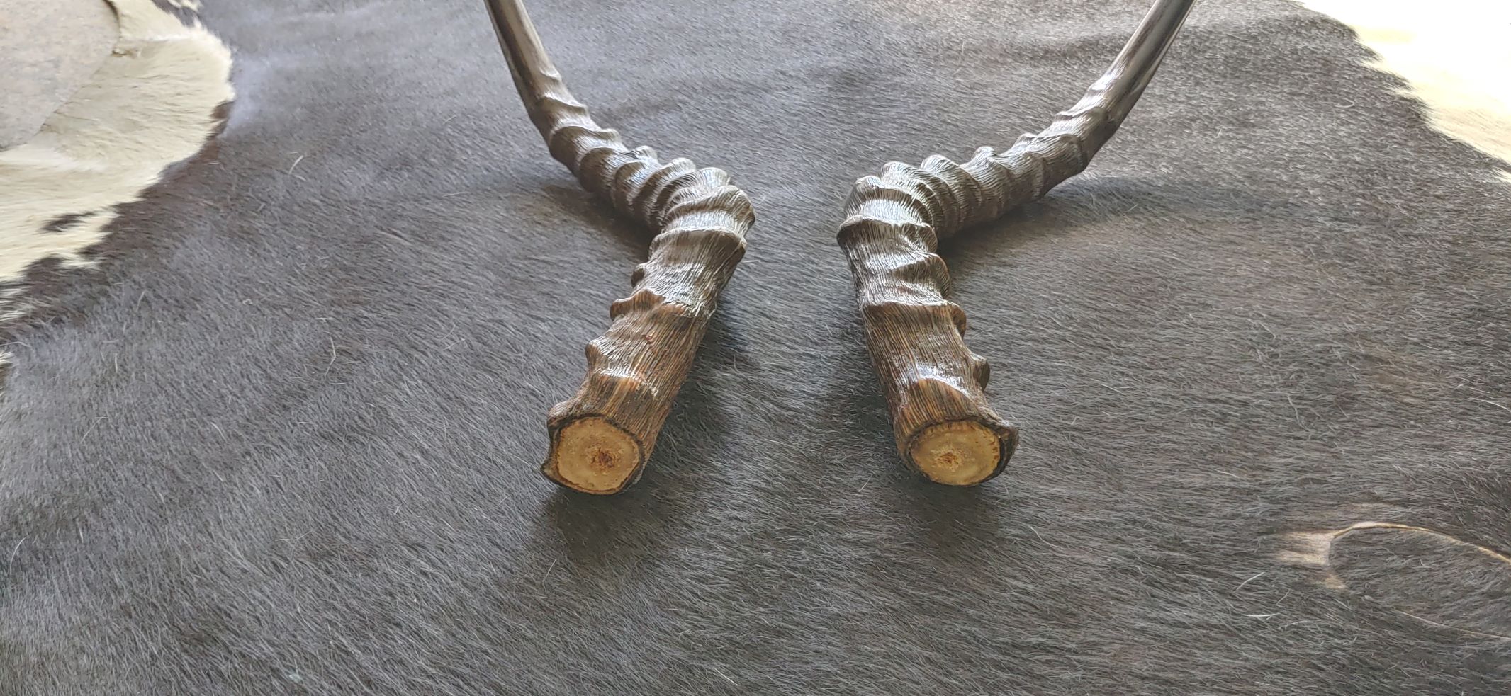 Mounting Horns – Shofars and Accessories
