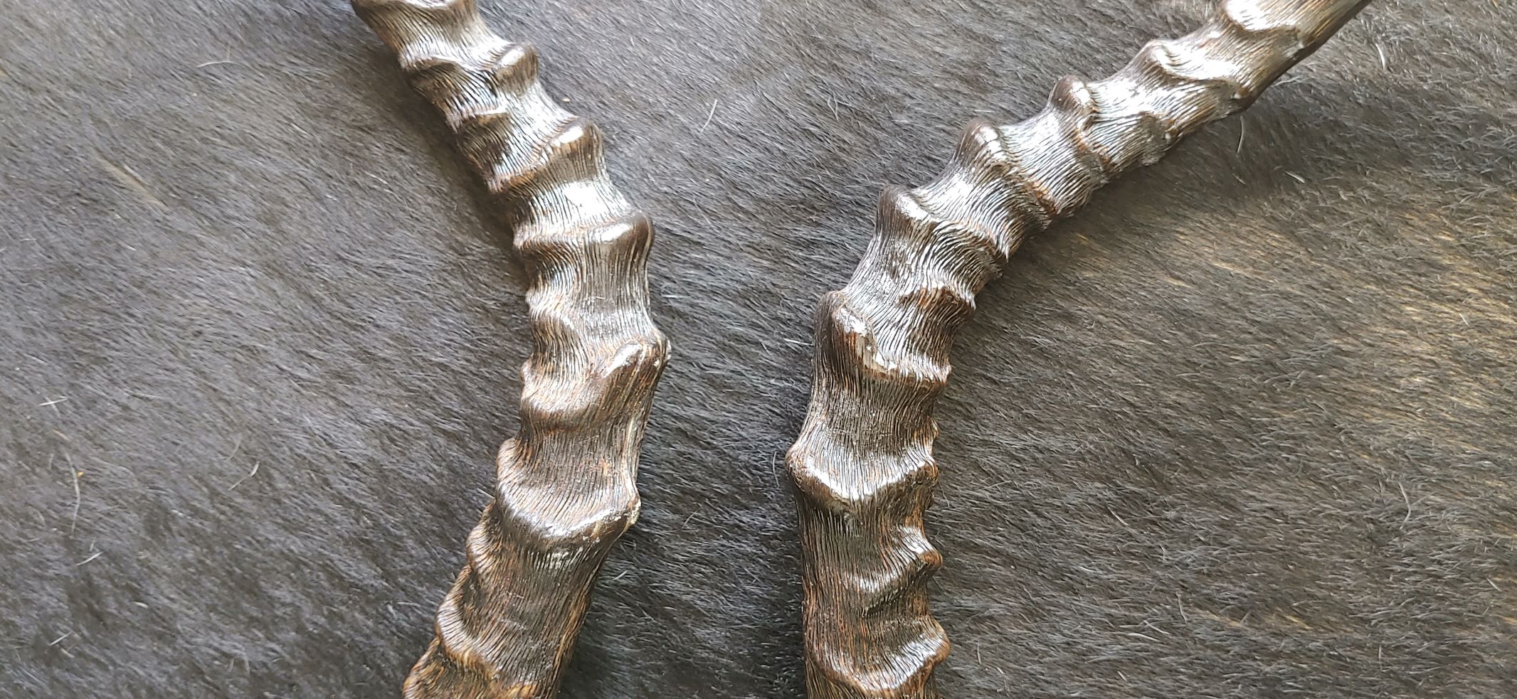 Mounting Horns – Shofars and Accessories