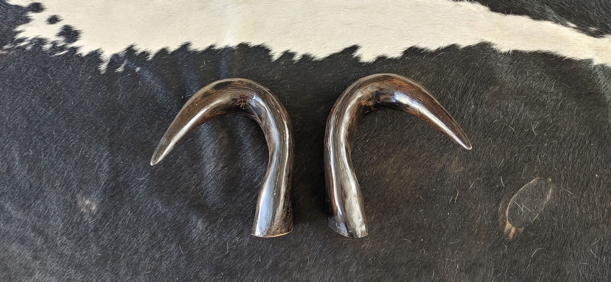 Shofars and Accessories – Hand Crafted Shofars , Horns and Accessories