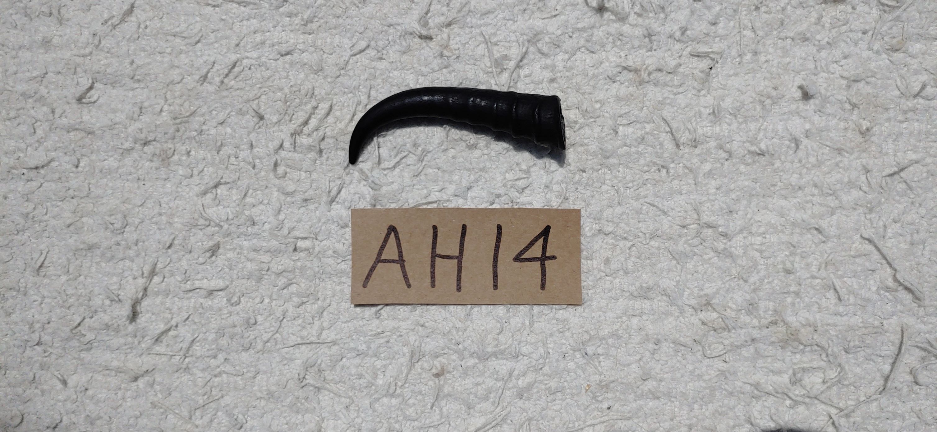 Anointing Horns – Shofars and Accessories